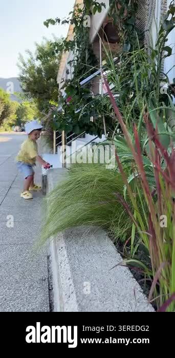 Toddler watering garden plants beside a home Stock Video Footage - Alamy