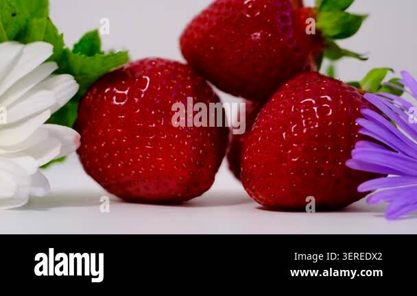Large juicy strawberries surrounded by delicate chamomile flowers and ...