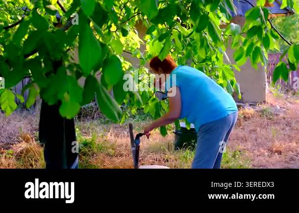 Standing beside a yard faucet a grandmother cleans up and refreshes ...