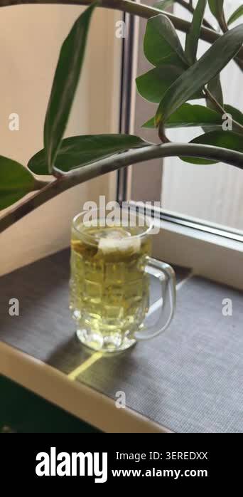 Warm green tea with tea bag served in clear beer style glass on dark ...
