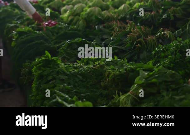 Local market culture authentic street market life with fresh vegetables ...