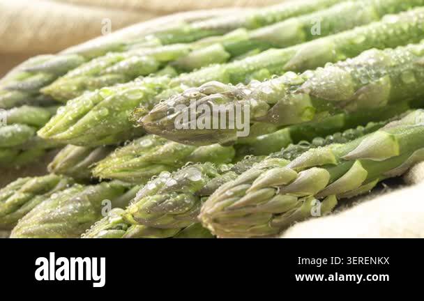 Fresh green asparagus spears with water drops arranged on white ...