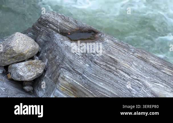 Close-up of a gnarled tree root clinging to weathered rock beside a ...