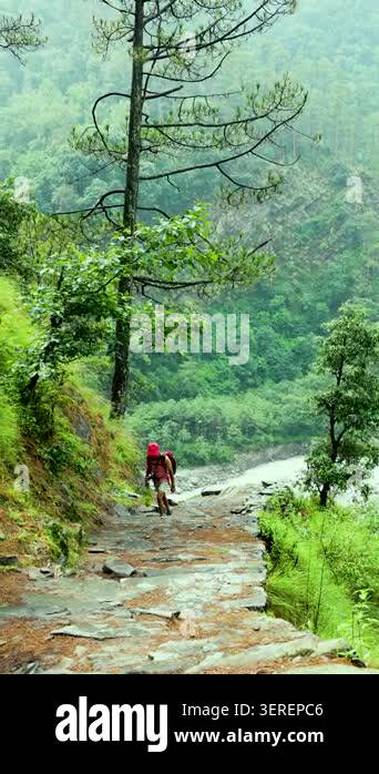 A solitary figure walks along a rustic stone path winding through a ...