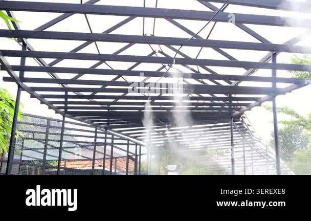 Water Mist Spray System in Greenhouse at Munnar Kerala Tropical Garden ...