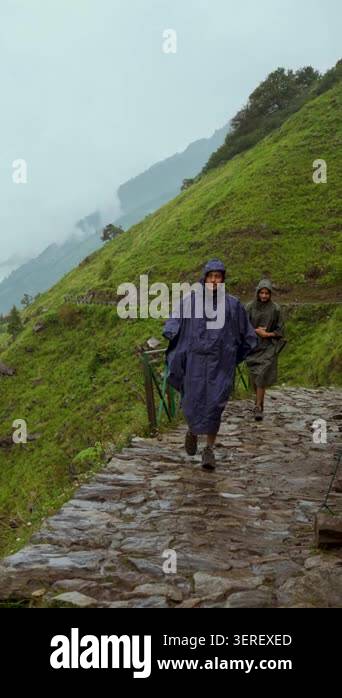 Two hikers in rain ponchos ascend rugged stone steps during a misty ...