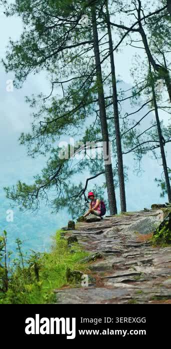 A lone hiker takes a break on a scenic rocky outcrop surrounded by pine ...
