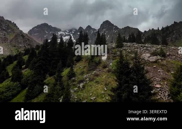 Beautiful aerial drone scenery of the mountain valley with spruce ...