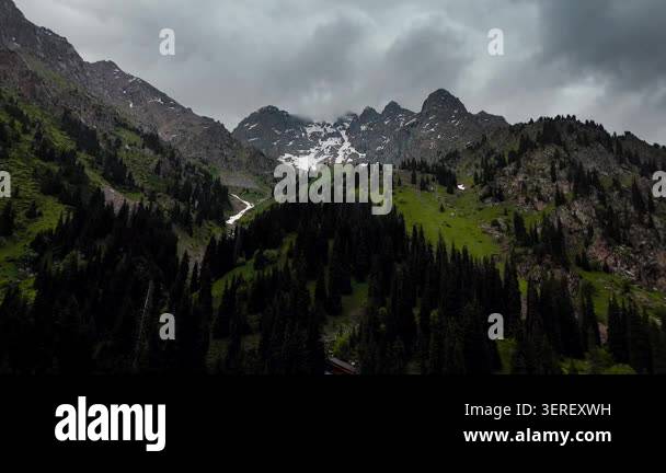 Beautiful aerial drone scenery of the mountain valley with spruce ...