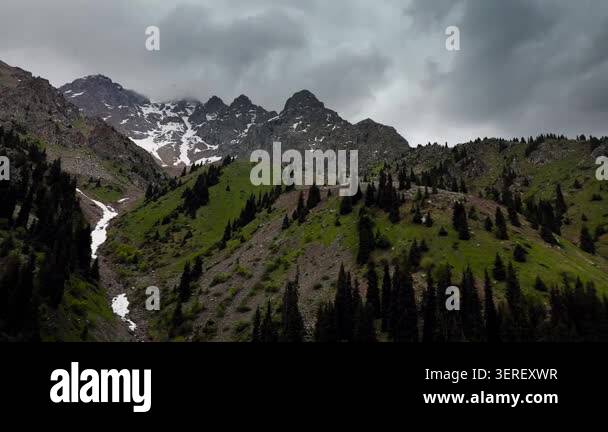 Beautiful aerial drone scenery of the mountain valley with spruce ...