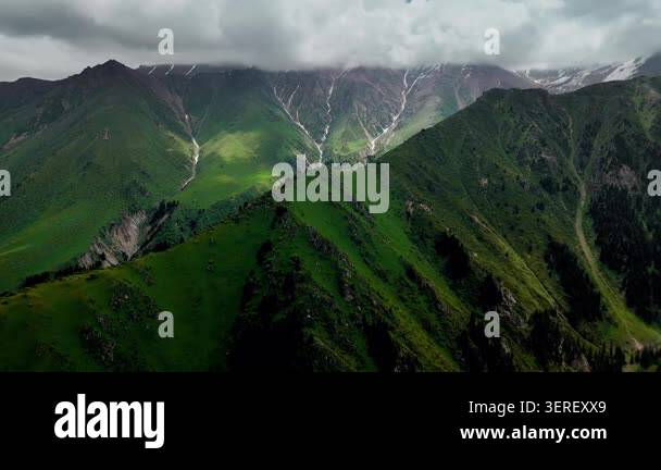 Beautiful aerial drone scenery of the mountain valley with spruce ...