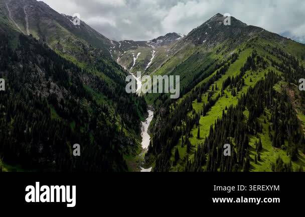 Beautiful aerial drone scenery of the mountain valley with spruce ...