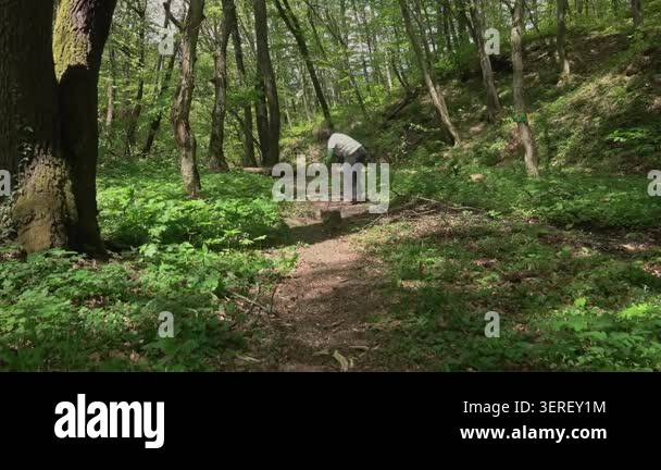 Middle-aged woman walking her cat - common breed - in harness and on ...