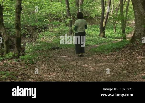 Middle-aged woman walking her cat - common breed - in harness and on ...