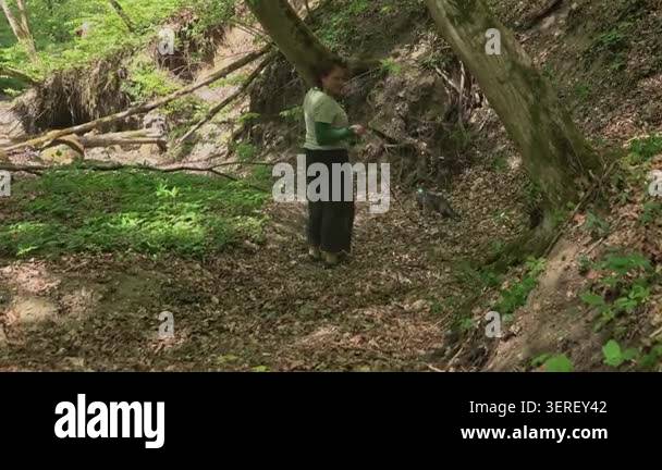 Middle-aged woman walking along a river, through the forest, with her ...