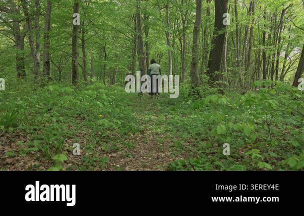 Middle-aged woman walking her cat - common breed - in harness and on ...