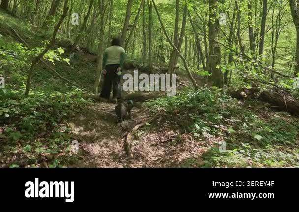 Middle-aged woman walking her cat - common breed - in harness and on ...