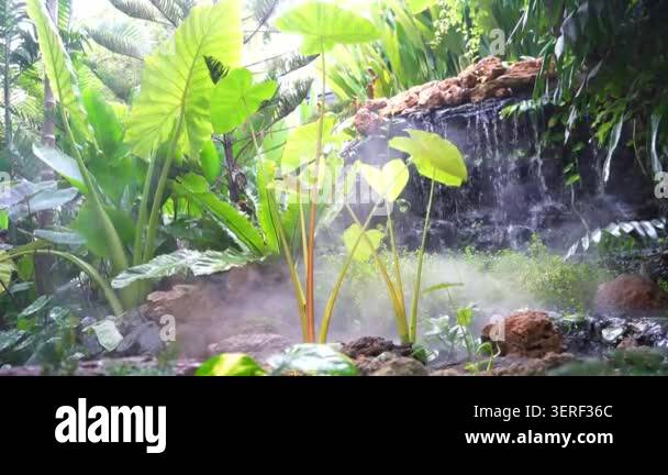 Tropical garden backyard featuring small artificial rock waterfall ...