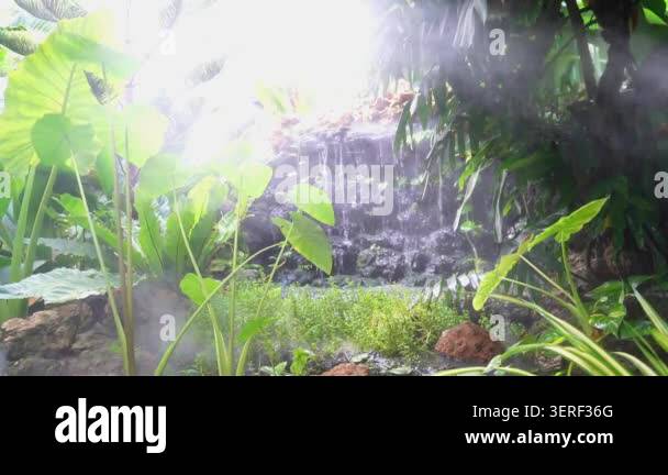 Tropical garden backyard featuring small artificial rock waterfall ...