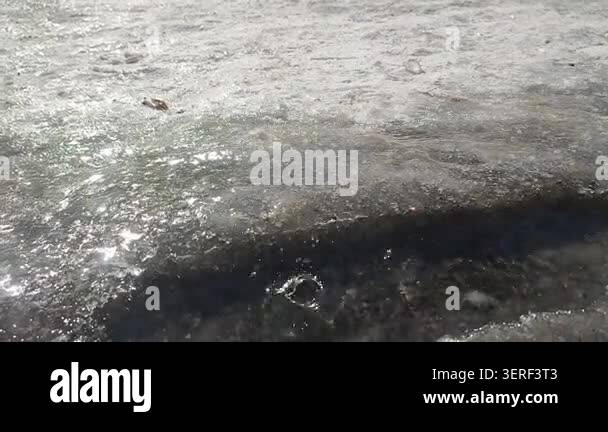 Drops of water dripping into a puddle of melted snow on a warm spring ...