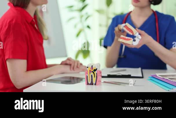 Damaged tooth model and doctor teaching patient to brush teeth on jaw ...