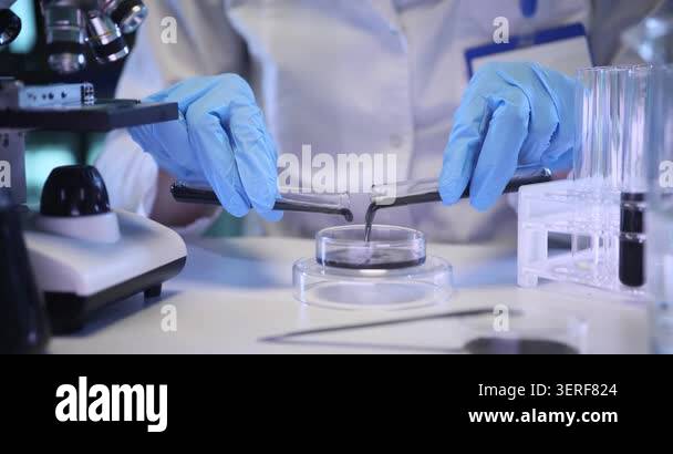 Woman assistant pours crude oil from test tubes into Petri dish in lab ...