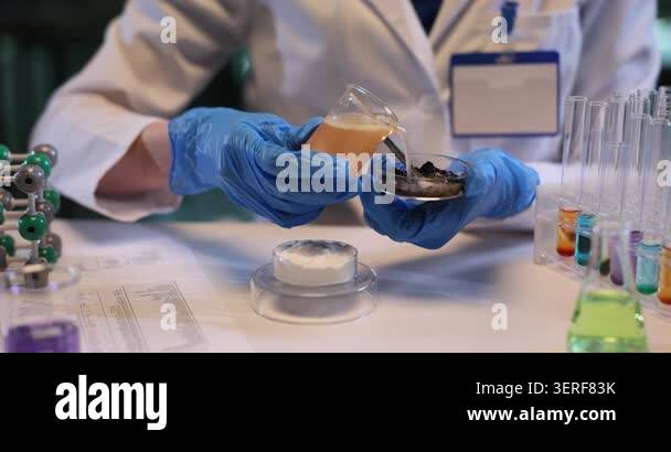 Woman assistant pours liquid on soil sample in Petri dish in chemical ...