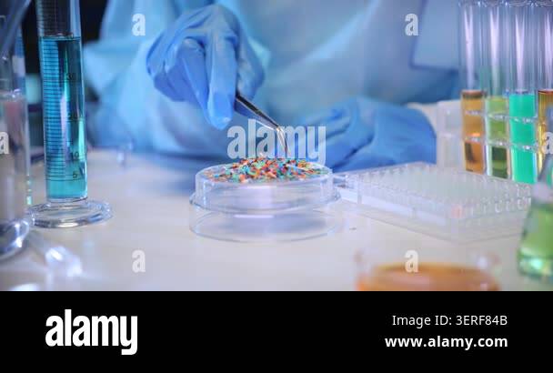 Scientist takes colorful pieces of microplastic with tongs in lab ...
