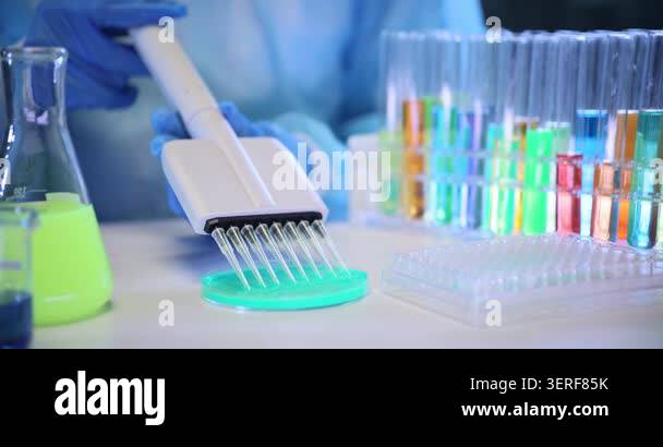 Laboratory specialist fills test tubes with vivid experimental liquid ...
