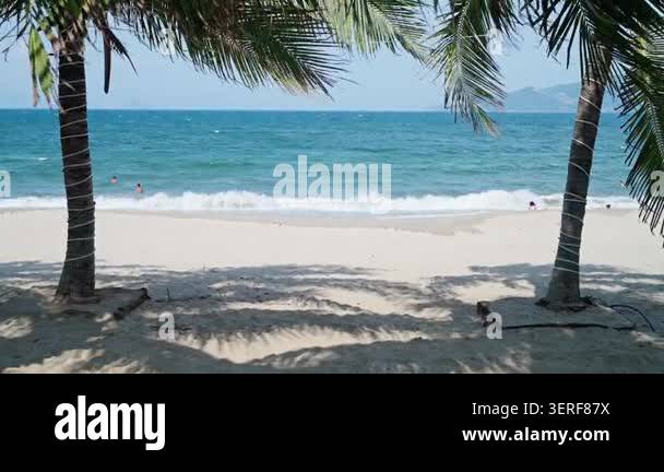 Nha Trang Vietnam. A sunny tropical shoreline is framed by palm trees ...