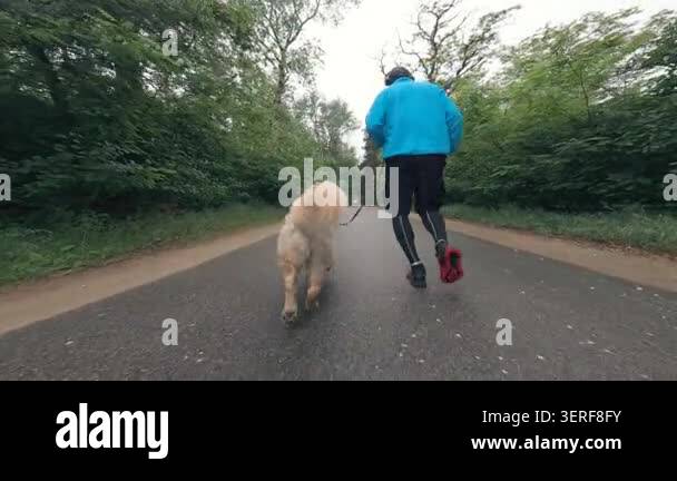 Man and golden retriever run on a path surrounded by trees during the ...