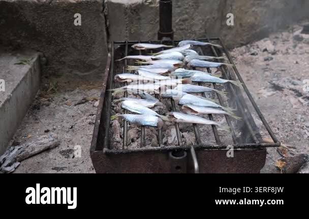 Man's hand carefully arranging fresh sardines on a rusty grill over hot ...