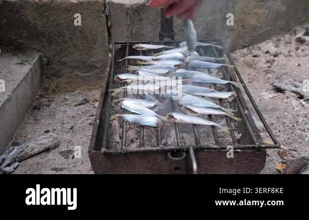 Man's hands arranging fresh mediterranean sardines on a rustic charcoal ...