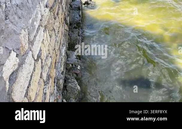 Slow-motion view of murky water rippling and foaming along an old stone ...