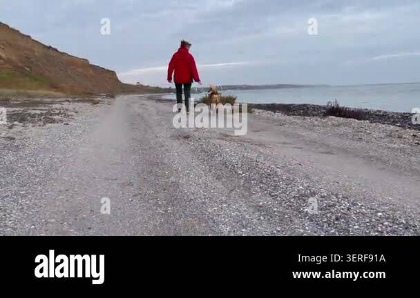 Woman in a red jacket walks her dog along a deserted pebble beach ...