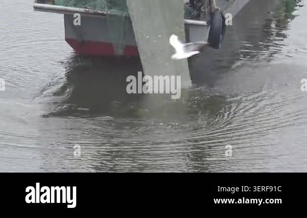 Fishermen in green raincoats haul a dripping seine net over a fishing ...