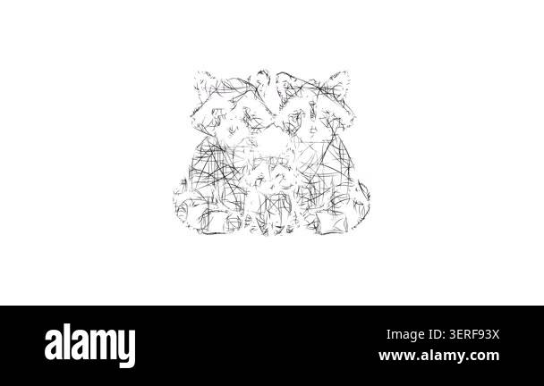 Sketch style minimal raccoon family icon animation - smooth progressive ...
