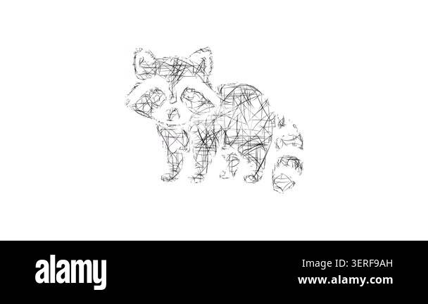 Sketch style minimal raccoon icon animation - smooth progressive reveal ...