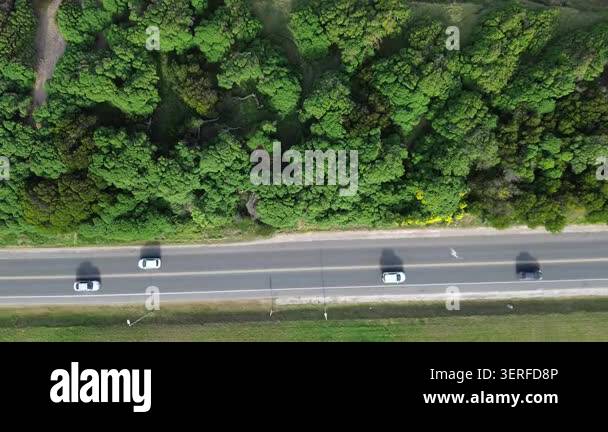 Aerial drone footage captures cars driving on a road next to a dense ...