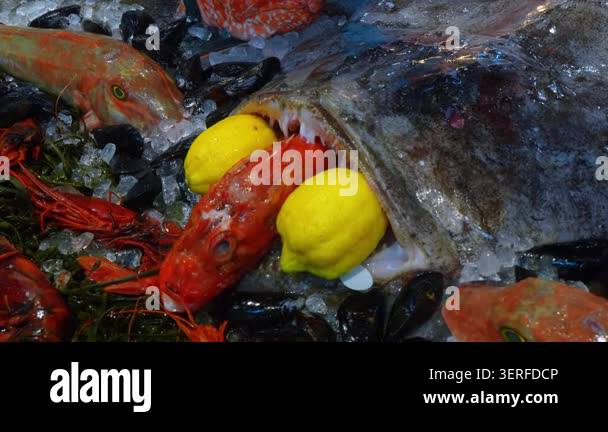 Seafood display with fish and lemons on ice, Chicago, Illinois. Close ...