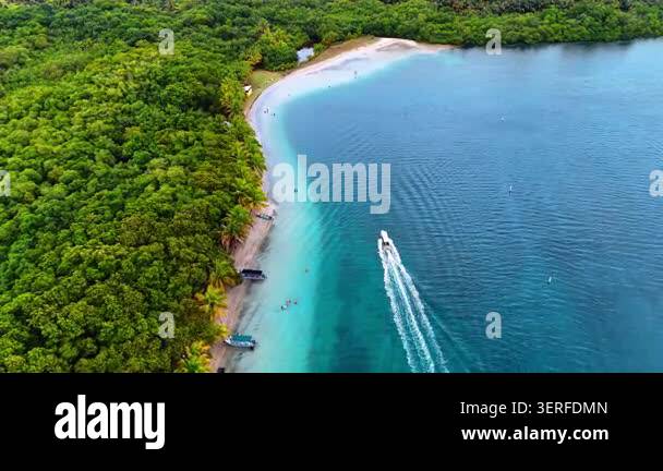 Speedboat crossing turquoise waters along a tropical beach, Bocas del ...