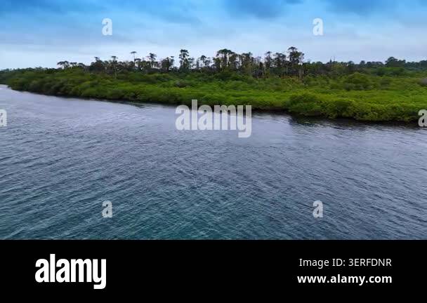 Tropical mangrove shoreline viewed from above, Bocas del Toro, Panama ...