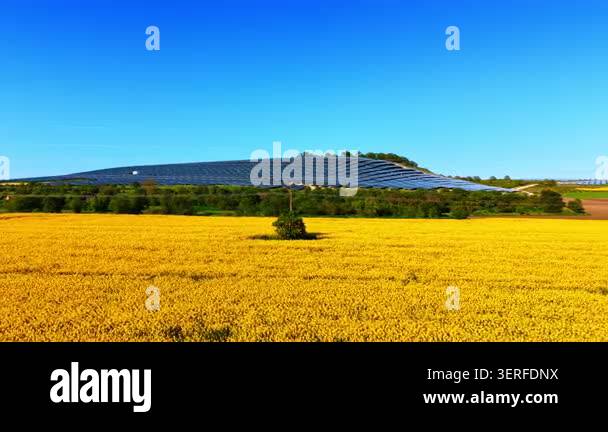 Blooming rapeseed field with solar power station on a distant hill ...