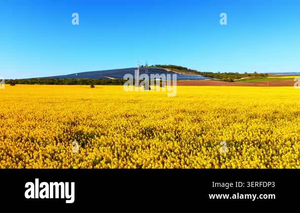 Rapeseed field and electricity pylons framing a solar farm on a hill ...