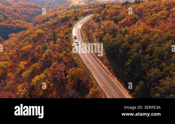 Curving mountain road through autumn woodland at golden hour. Aerial ...