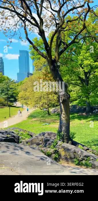 New York, USA, 22 May 2026: Central Park landscape with Manhattan ...