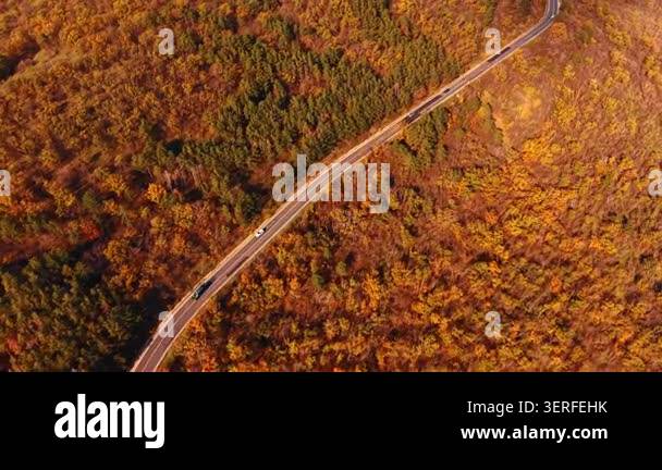 Straight highway cutting diagonally through mixed autumn woodland ...
