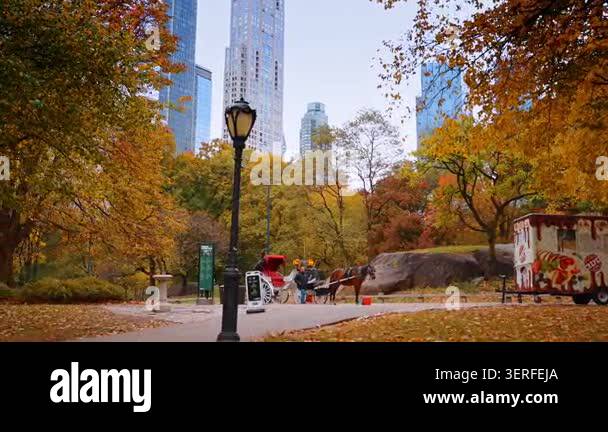 New York, USA, 25 October 2025: Horse carriage waiting on a path in ...