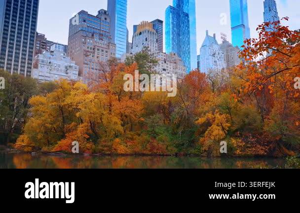 New York, USA, 25 October 2025: Fall colors reflecting in Central Park ...