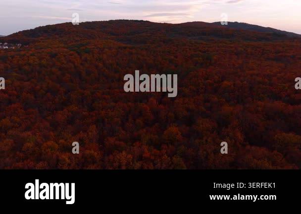 Sunset light over autumn hills covered in deciduous forest. Warm golden ...